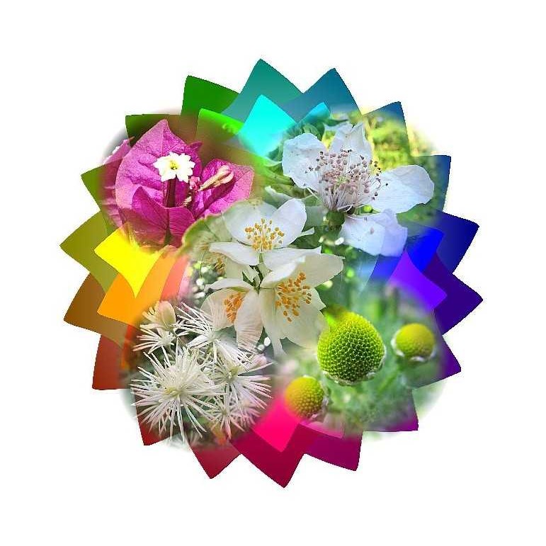 Innere Balance | Mag. Brigitte Reinberger