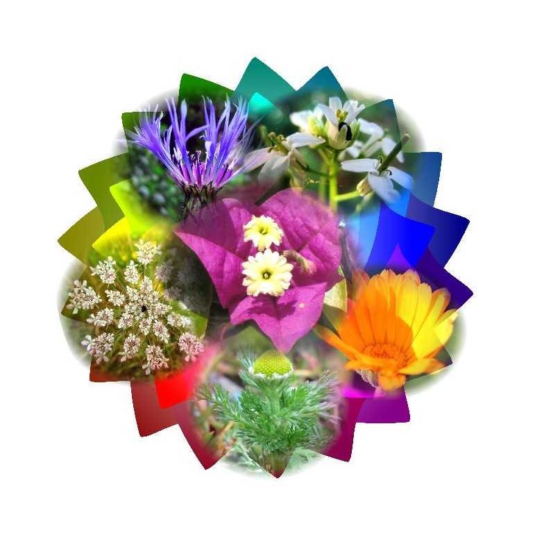 Innere Balance | Mag. Brigitte Reinberger