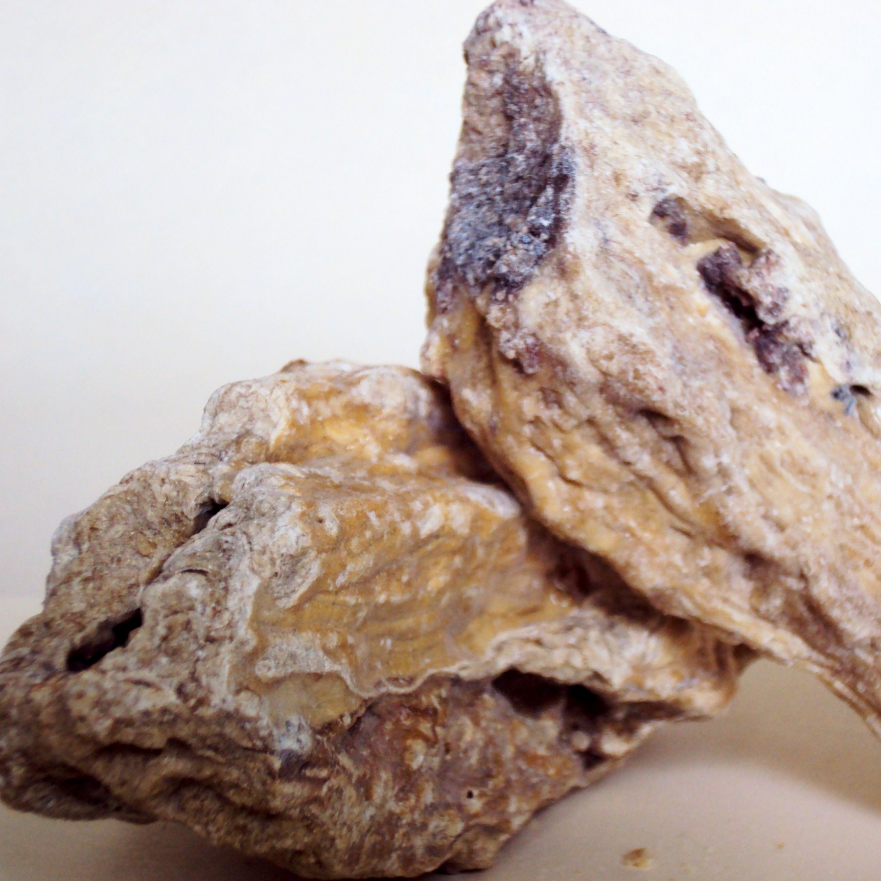 Sal Harz | Mag. Brigitte Reinberger