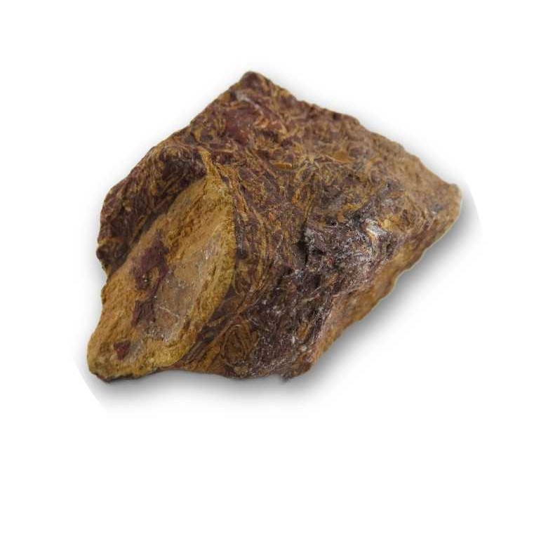 Schlangenjaspis | Mag. Brigitte Reinberger